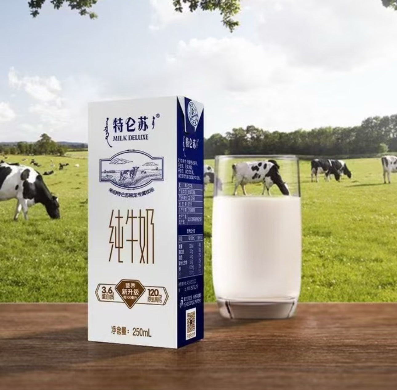 milk(Anchor development – Sunny Baby Team